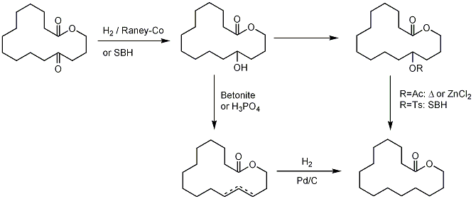 とある化学の超ガテン系: May 2008